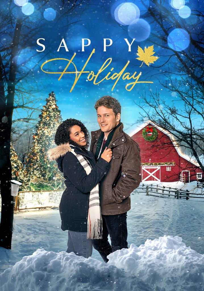 Sappy Holiday streaming: where to watch online?
