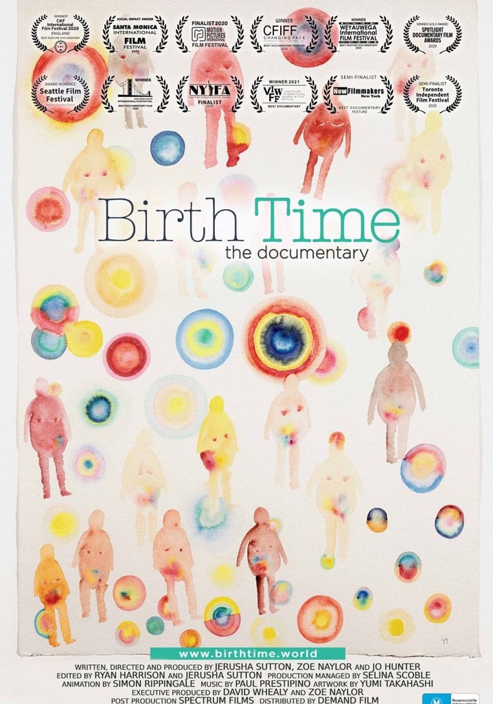 The Documentary streaming: where to watch online?