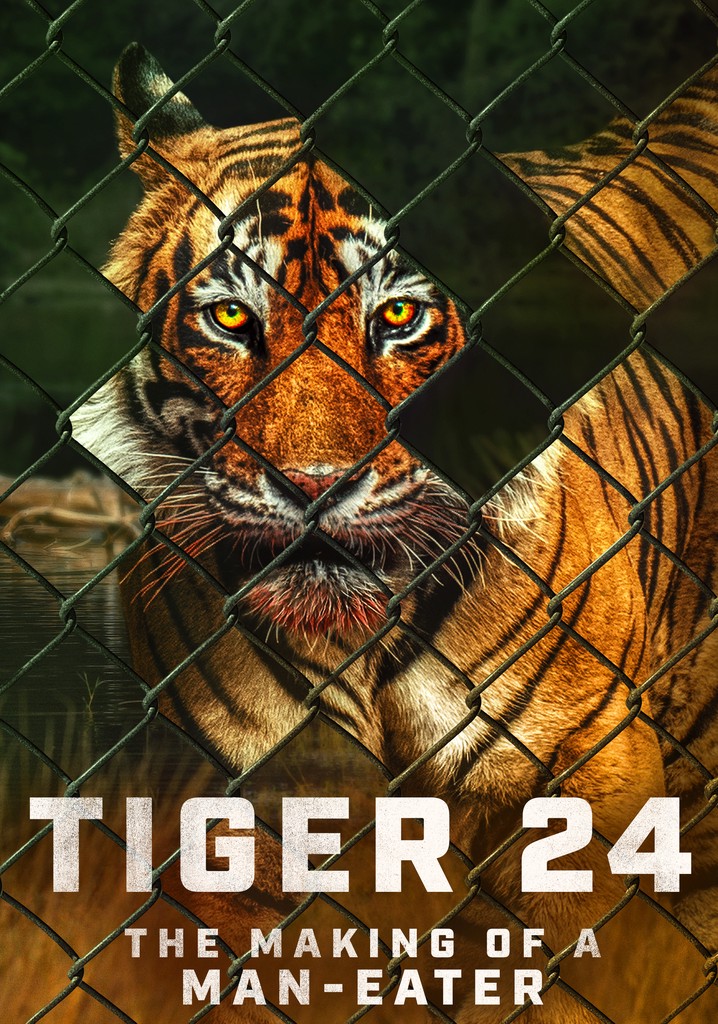 Tiger 24 streaming: where to watch movie online?