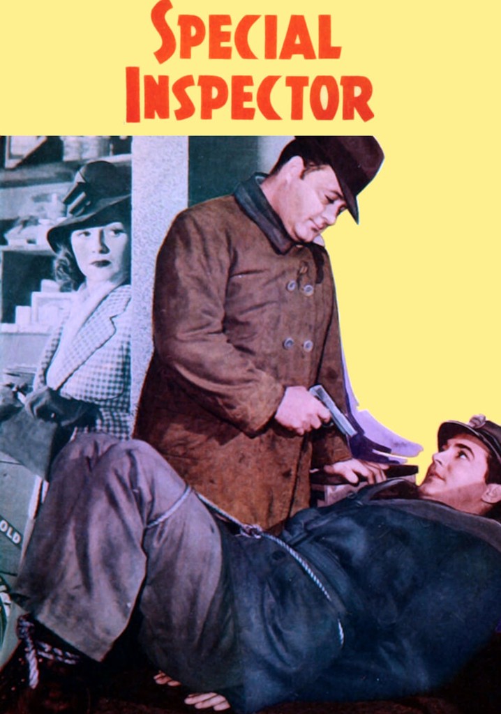 Special Inspector streaming: where to watch online?
