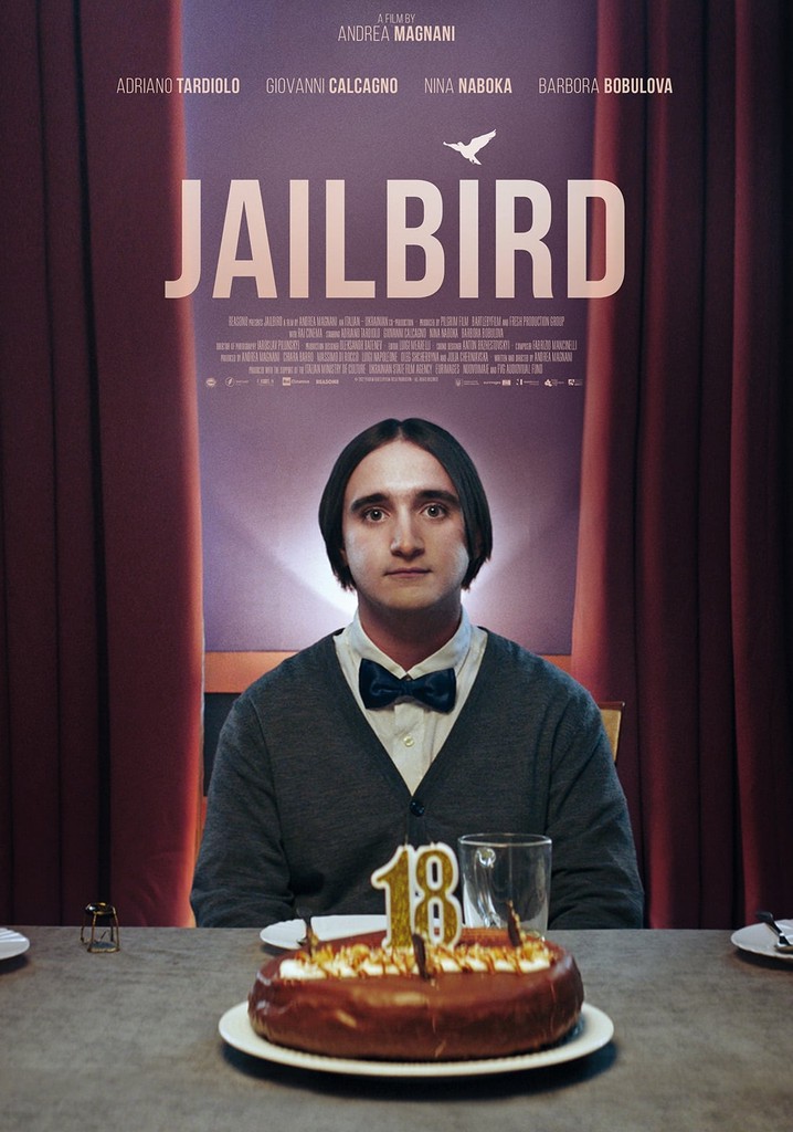 Jailbird streaming: where to watch movie online?