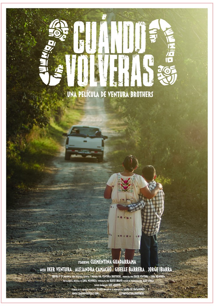 ¿Cuándo volverás? streaming: where to watch online?