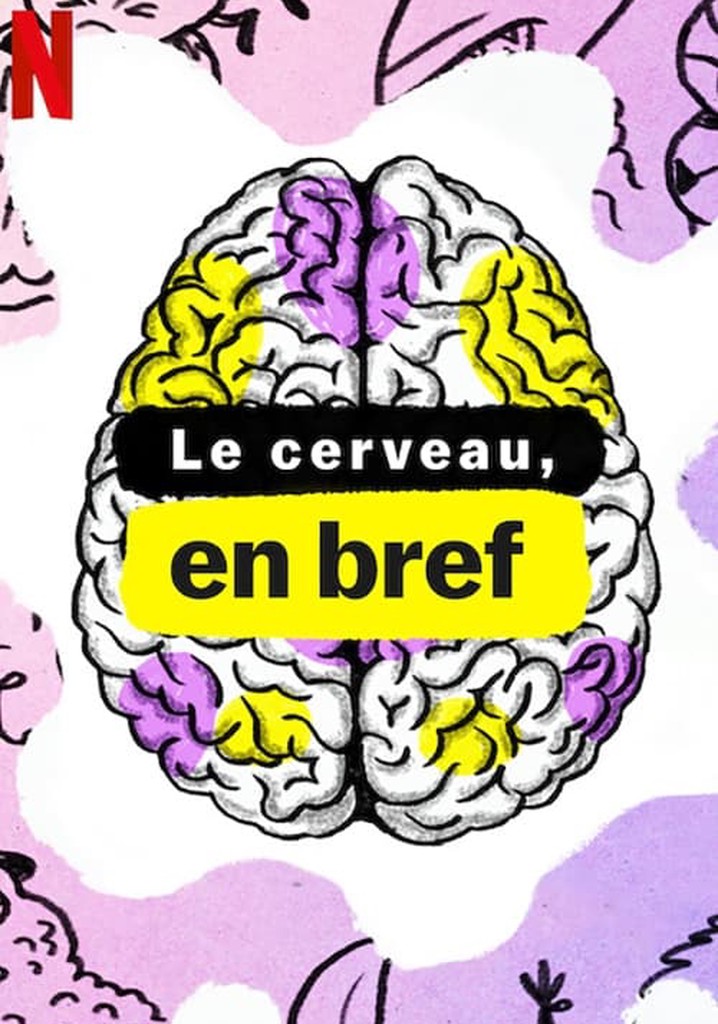 Regarder la série Le cerveau, en bref streaming