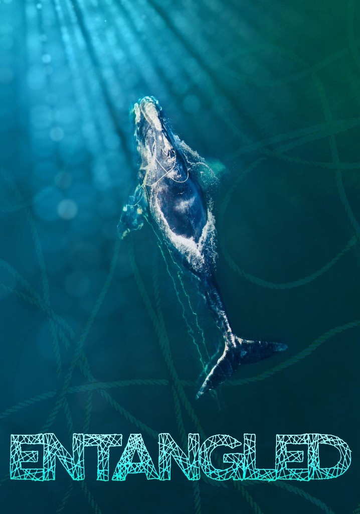 Entangled streaming: where to watch movie online?