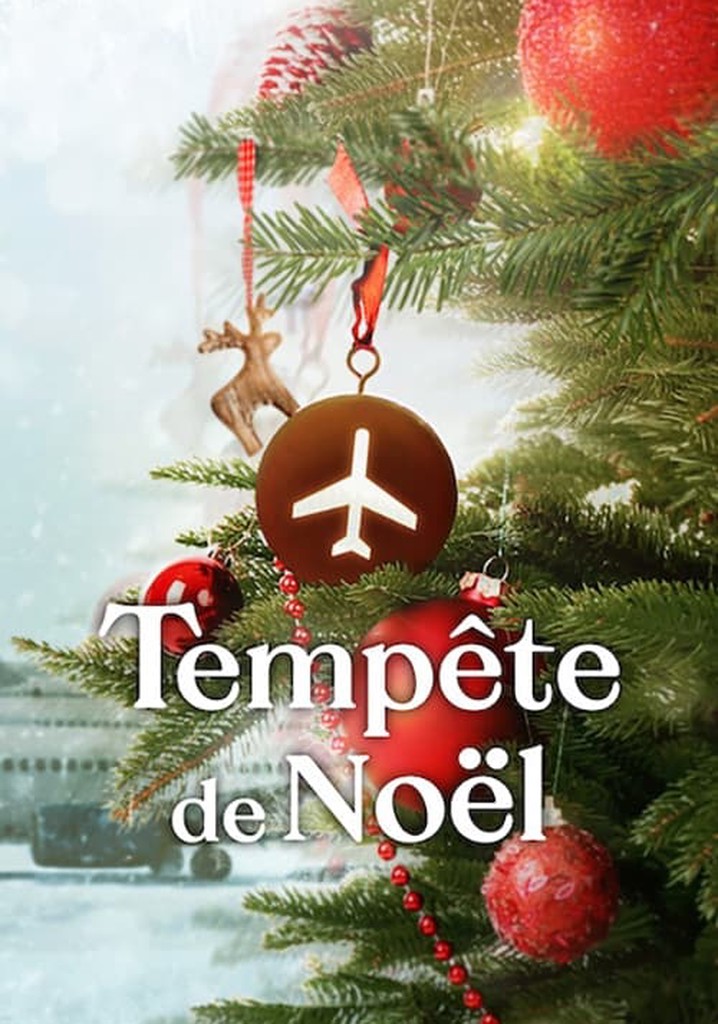 Regarder la série Tempête de Noël streaming