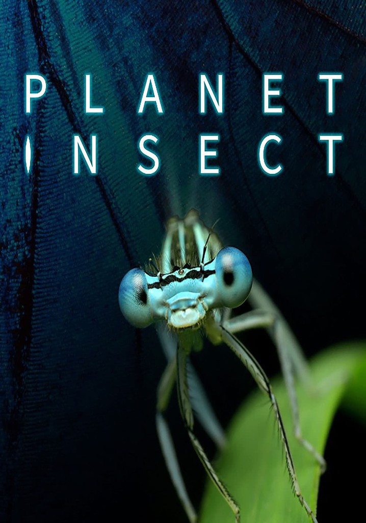 Planet Insect Season 1 - watch episodes streaming online