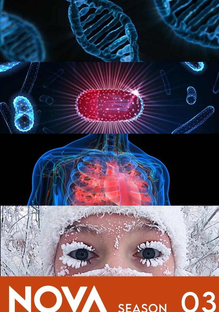 Nova Season 3 - watch full episodes streaming online