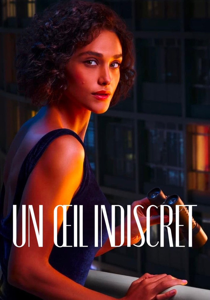 Où regarder la série Lady Voyeur en streaming