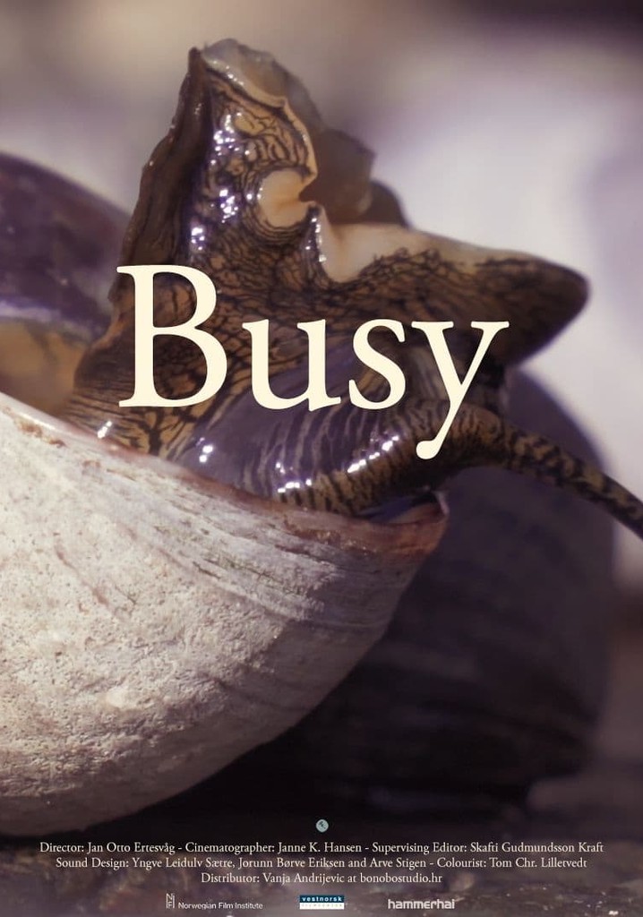 Busy streaming: where to watch movie online?