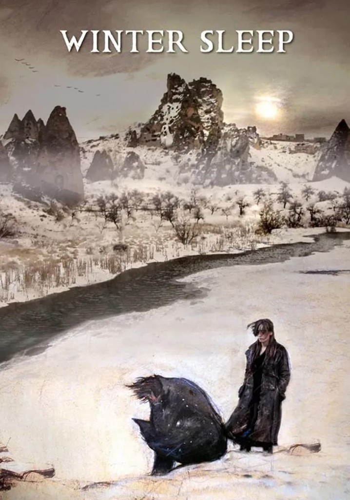 Winter Sleep streaming: where to watch movie online?