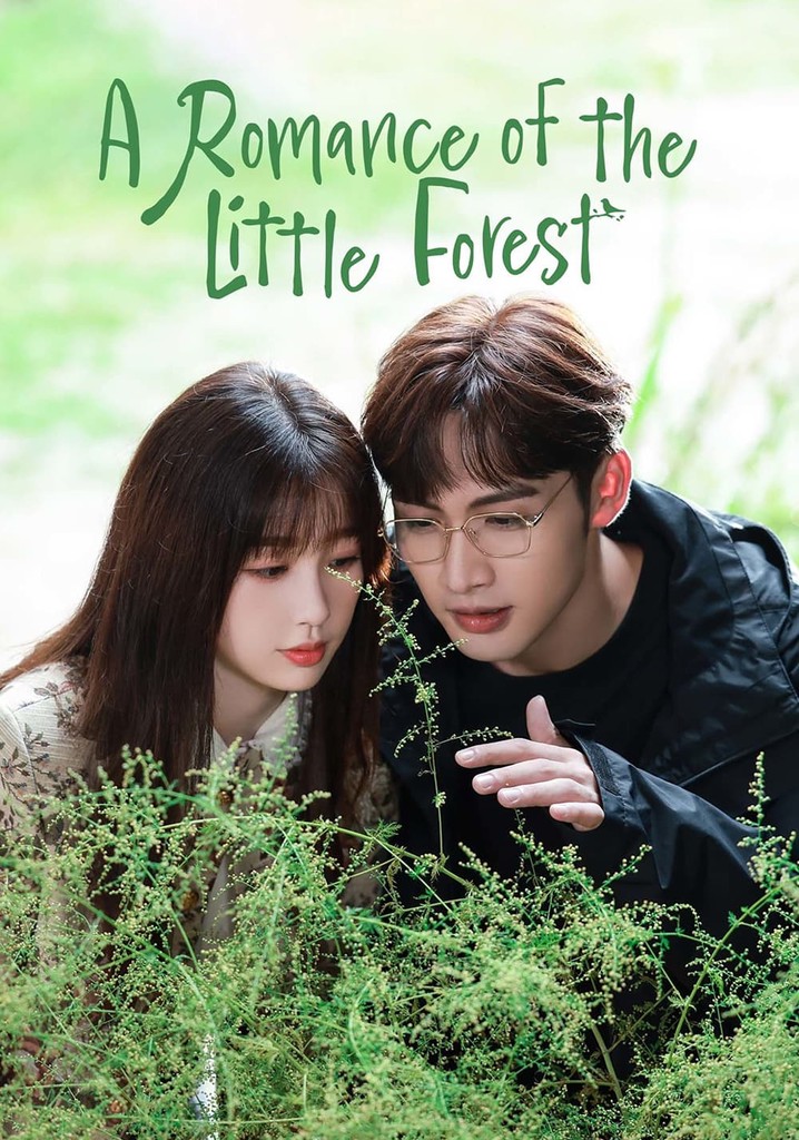 A Romance of the Little Forest Season 1 - streaming online