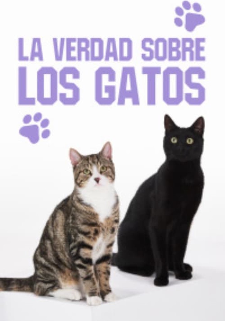 La verdad sobre los gatos - película: Ver online La verdad sobre los gatos - película: Ver online