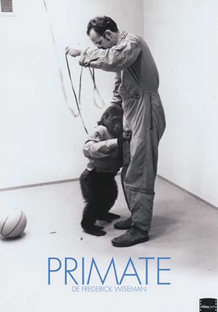 Où regarder Primate en streaming complet et légal