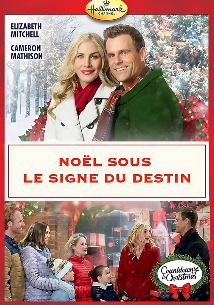 Regarder Noël sous le signe du destin en streaming
