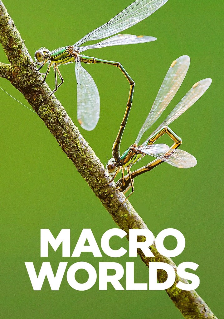 Macro Worlds - watch tv show streaming online