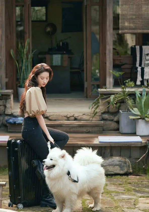 Meet Yourself - streaming tv show online