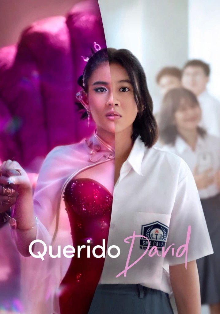 Dear David - película: Ver online completas en español