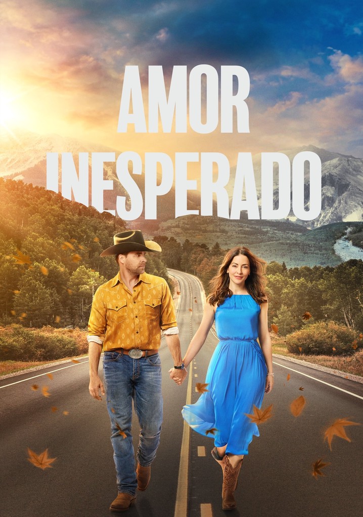 Amor Inesperado filme - Veja onde assistir