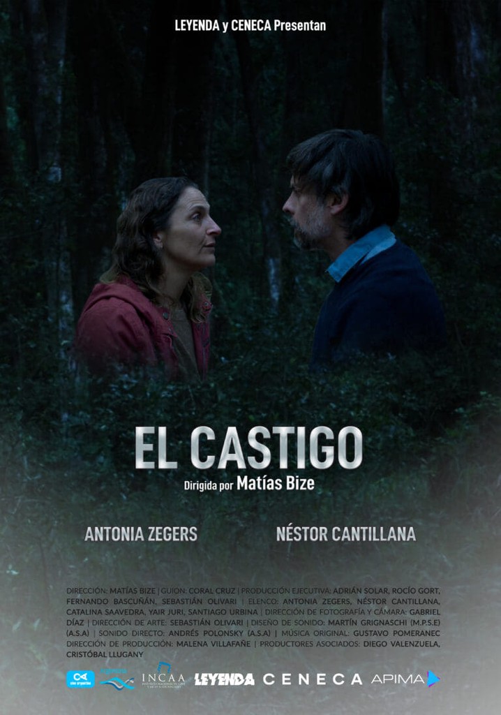 El castigo - película: Ver online completas en español
