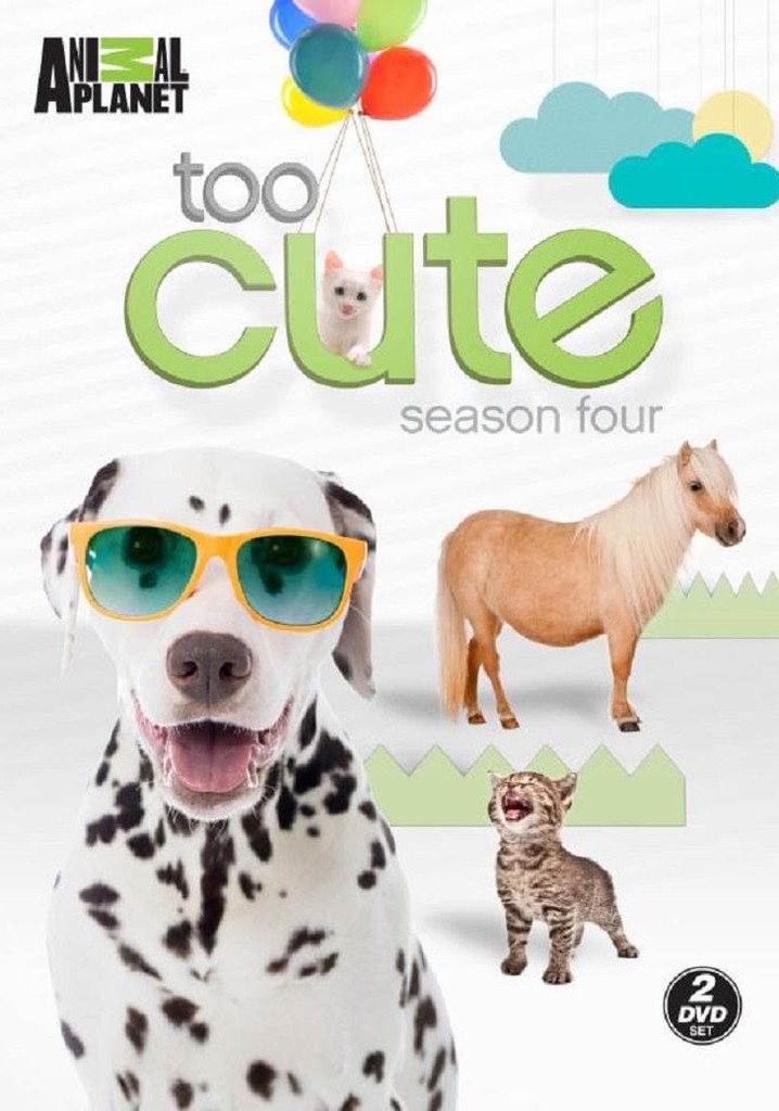 Too Cute Season 4 - watch full episodes streaming online