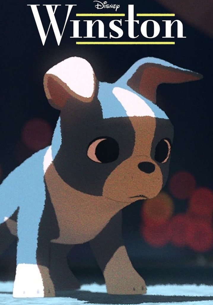 Winston - film: dove guardare streaming online