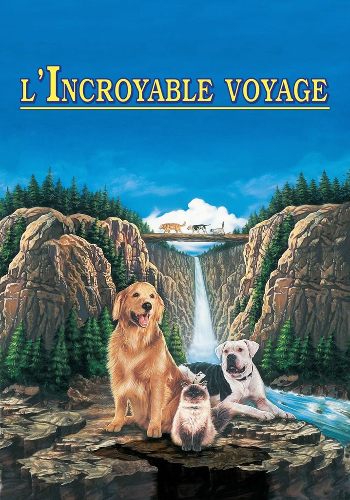 Regarder L'Incroyable Voyage en streaming complet
