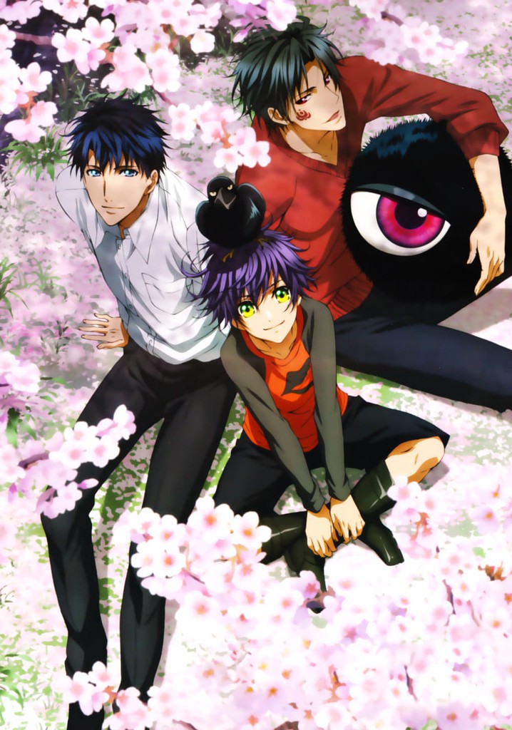 Hakkenden: Eight Dogs of the East Season 1 - streaming
