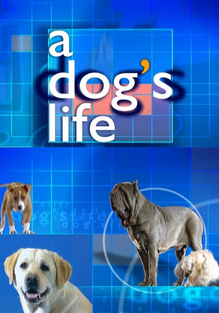 A Dog's Life - watch tv show streaming online