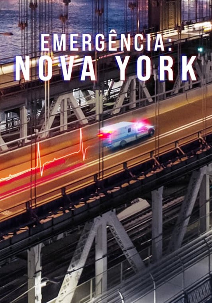 Assistir Emergência: Nova York - ver séries online