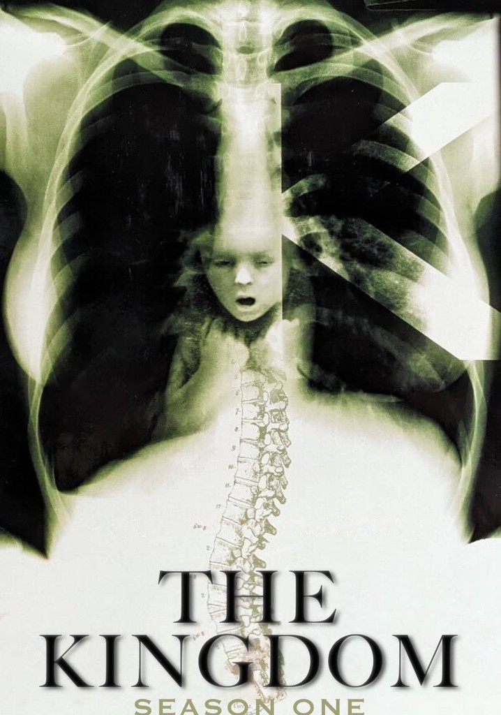 El reino temporada 1 - Ver todos los episodios online