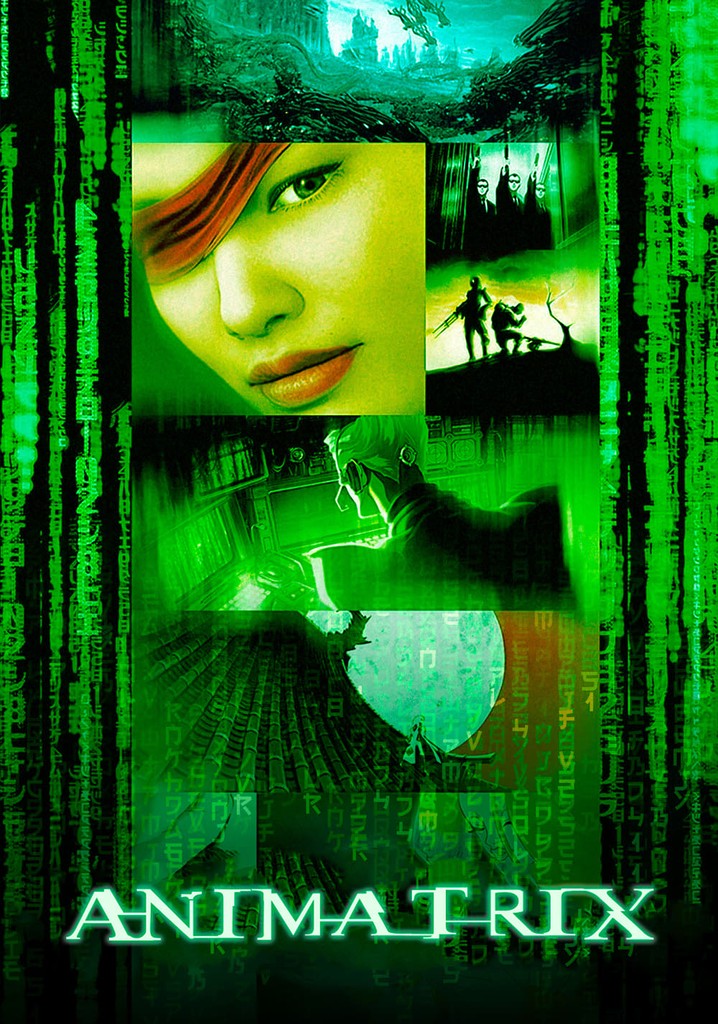 Animatrix - film: dove guardare streaming online
