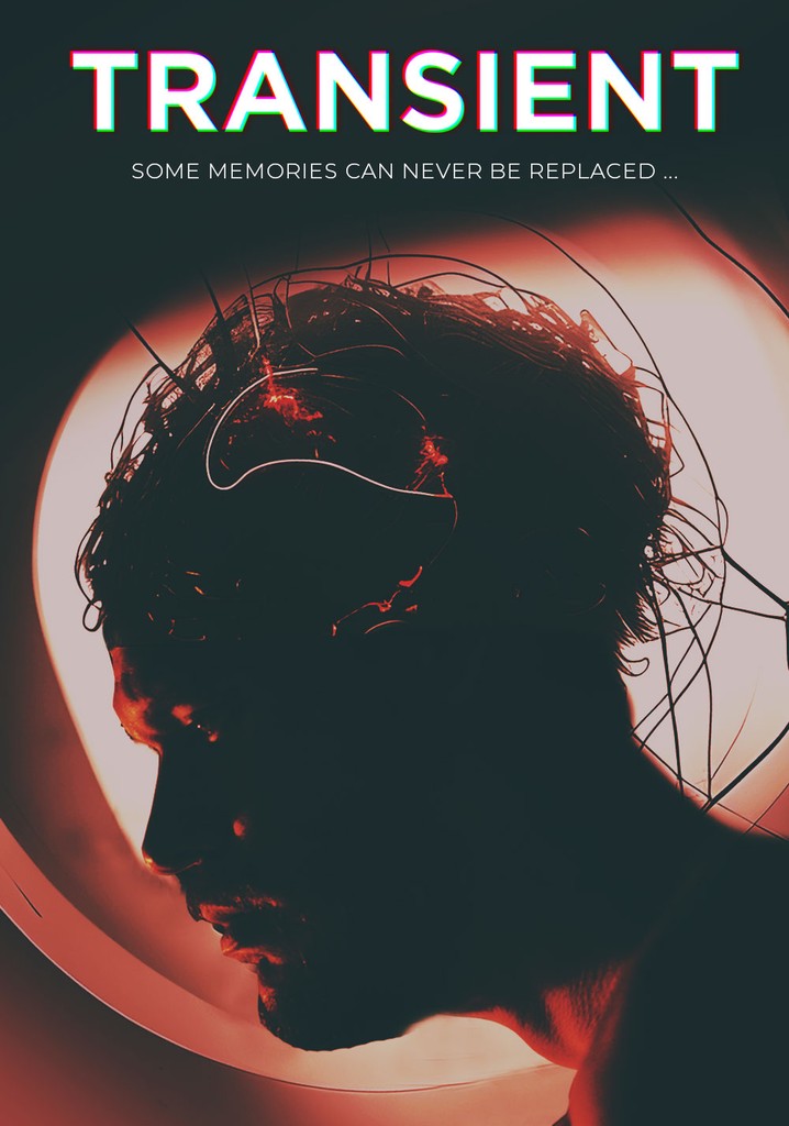 Transient streaming: where to watch movie online?