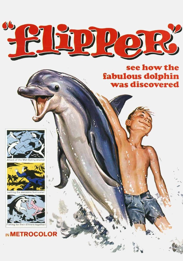 Mi amigo Flipper - película: Ver online en español