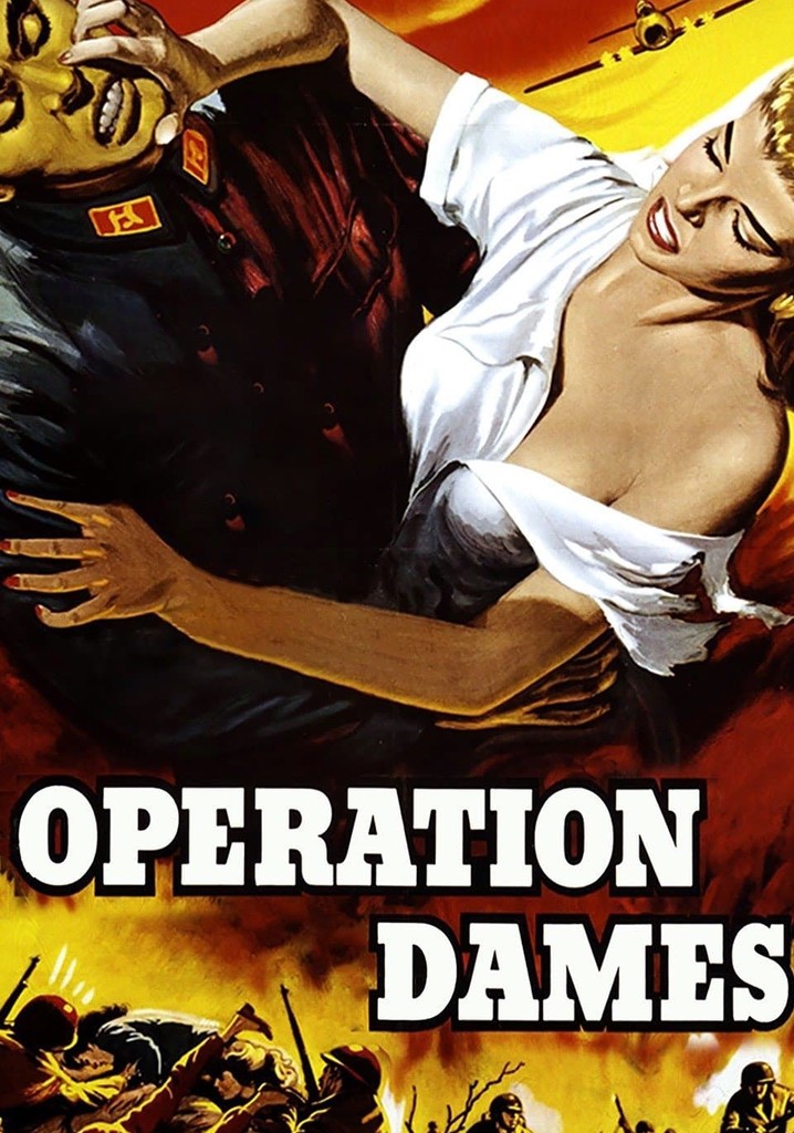 Operation Dames streaming: where to watch online?