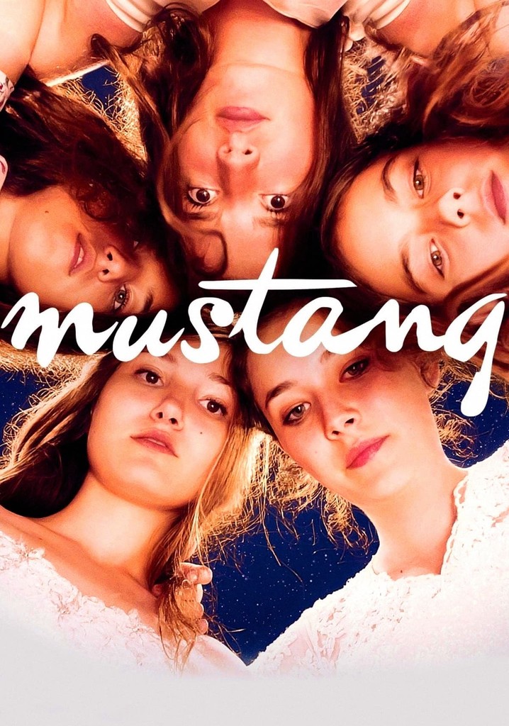 Mustang streaming: where to watch movie online?