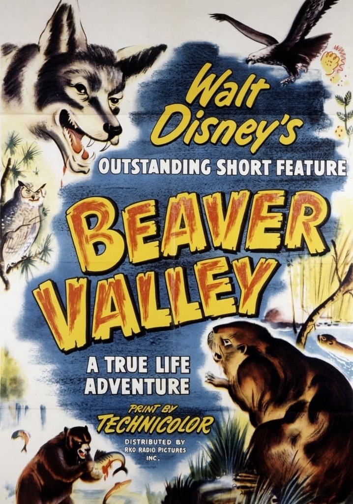 Beaver Valley streaming: where to watch online?
