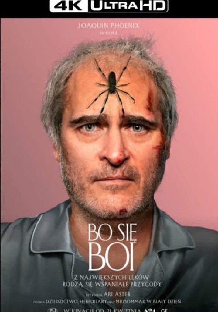 Bo się boi - streaming: gdzie obejrzeć film online?