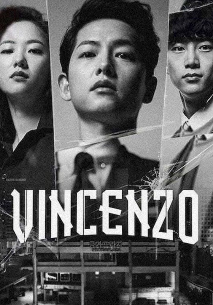 Donde assistir Vincenzo - ver séries online