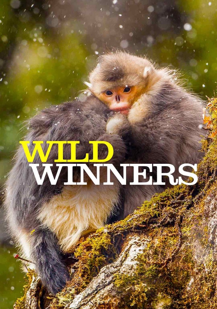 Wild Winners - watch tv show streaming online