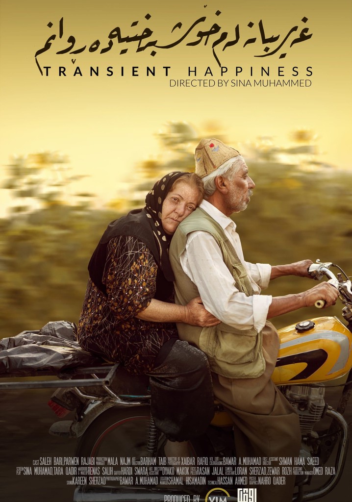 Transient Happiness streaming: where to watch online?