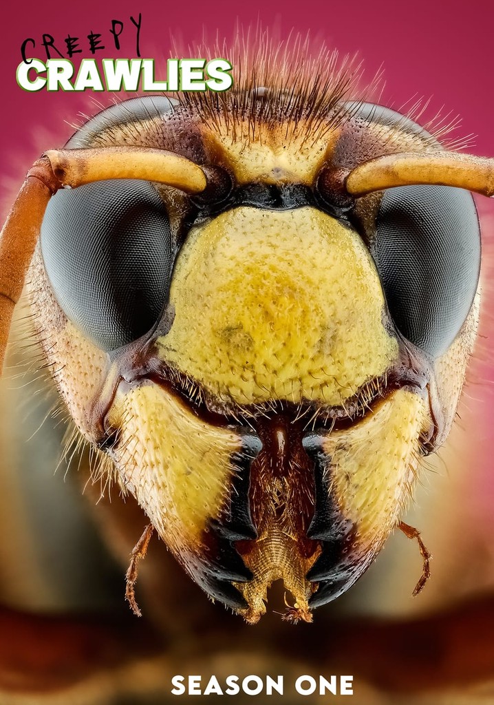 Creepy Crawlies Season 1 - watch episodes streaming online