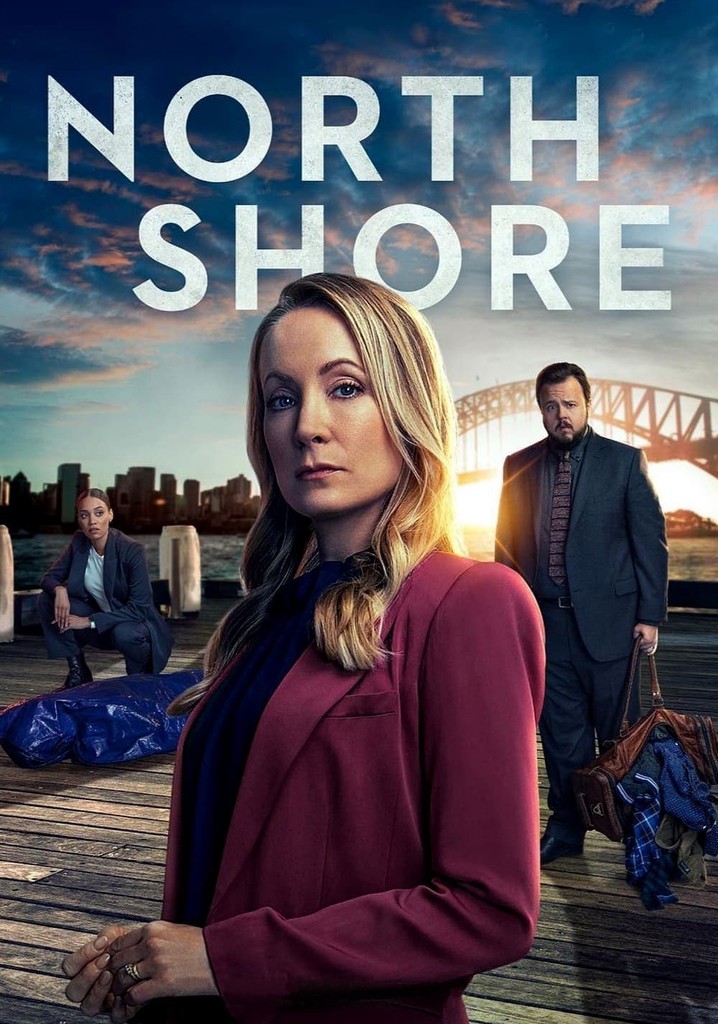North Shore temporada 1 - Ver todos los episodios online