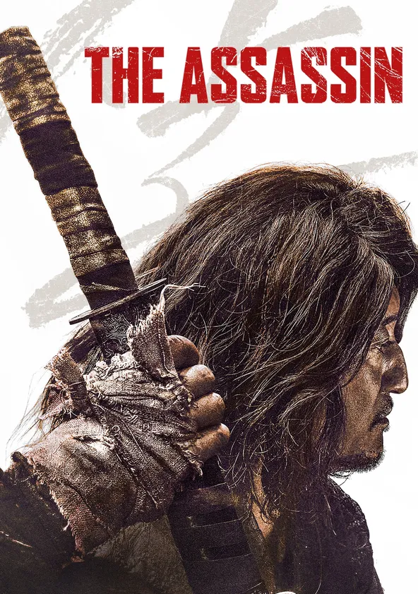 The Assassin streaming: where to watch movie online?