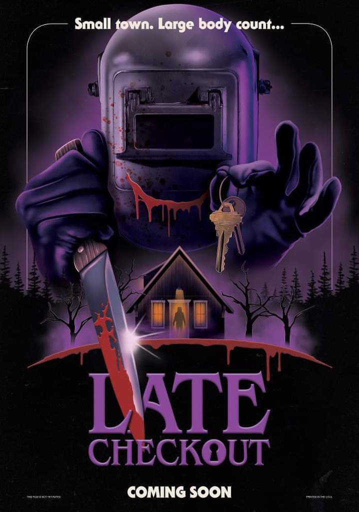 Late Checkout streaming: where to watch online?