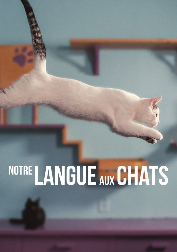 Regarder Notre langue aux chats en streaming complet