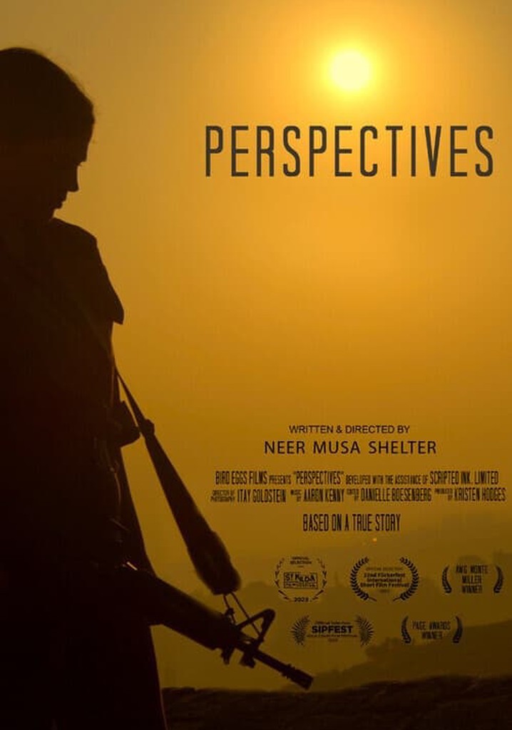 Perspectives streaming: where to watch movie online?