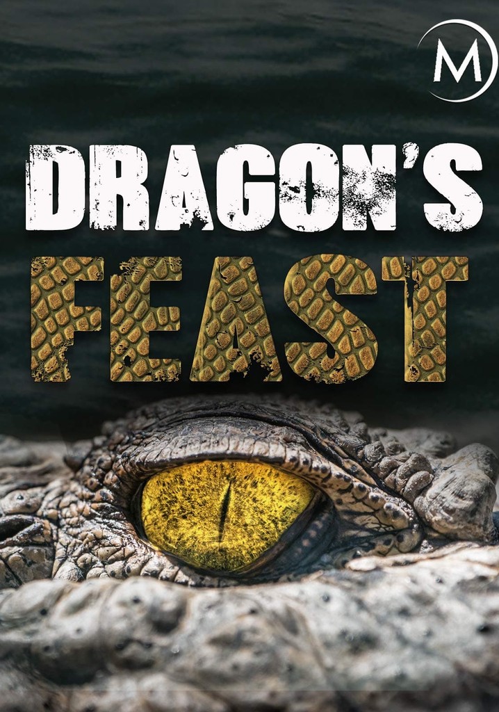 Dragon's Feast 3D streaming: where to watch online?