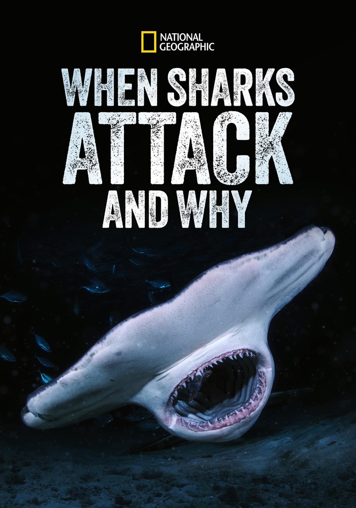 When Sharks Attack... and Why - streaming online