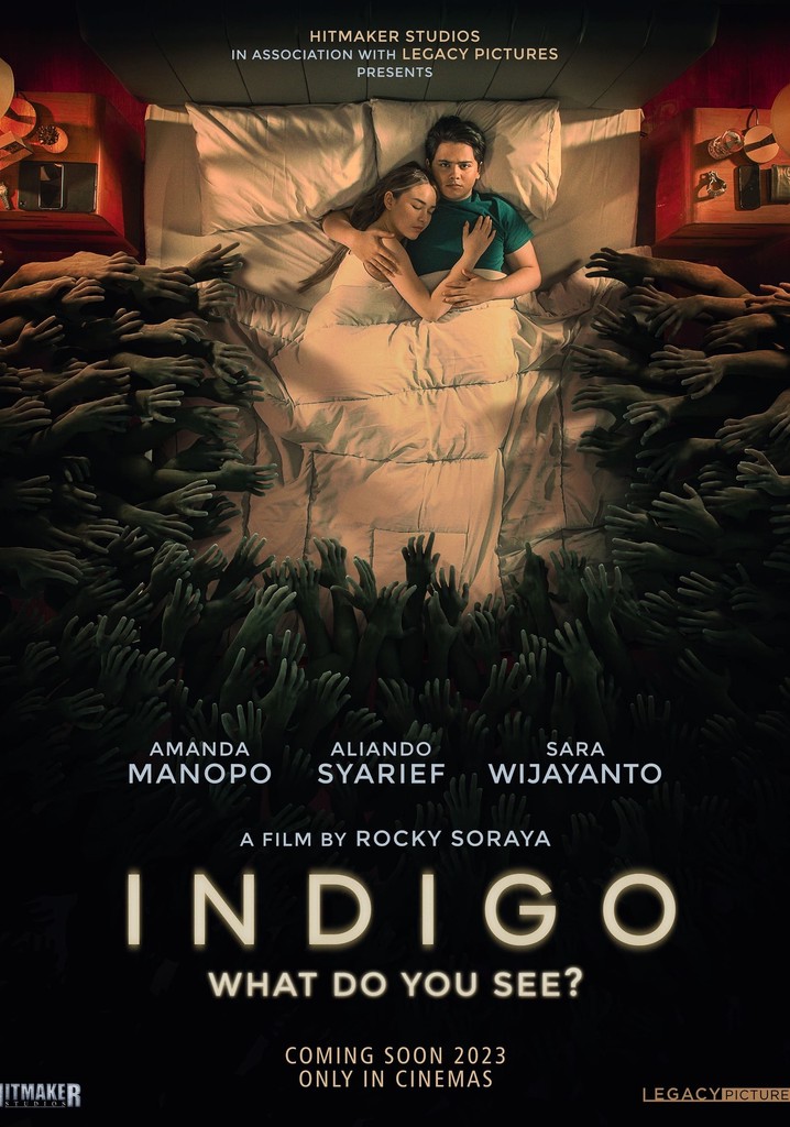 Indigo - película: Ver online completa en español