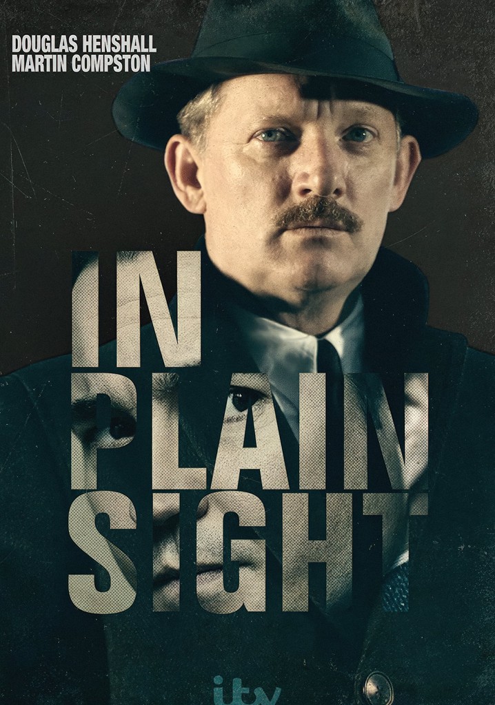 In Plain Sight - streaming tv show online